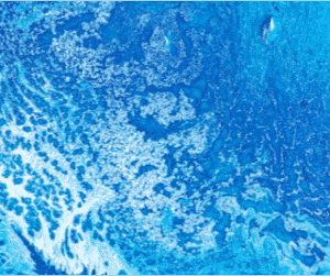 Stainless steel and noble metals tanks - Boccard